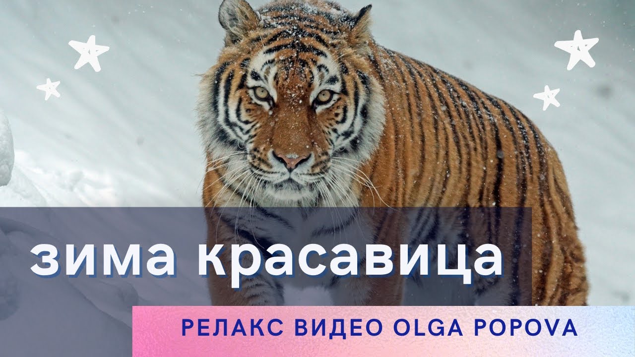 Чарующая Зима. Красивая Музыка и Красивое Видео.