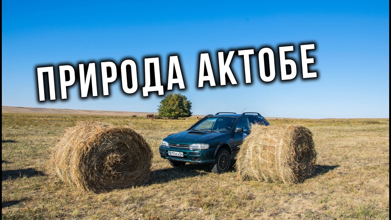 AUTO LIFE • Природа Актобе • Рубрика "А что это там?"