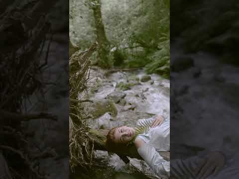Лесная прохлада #Shorts