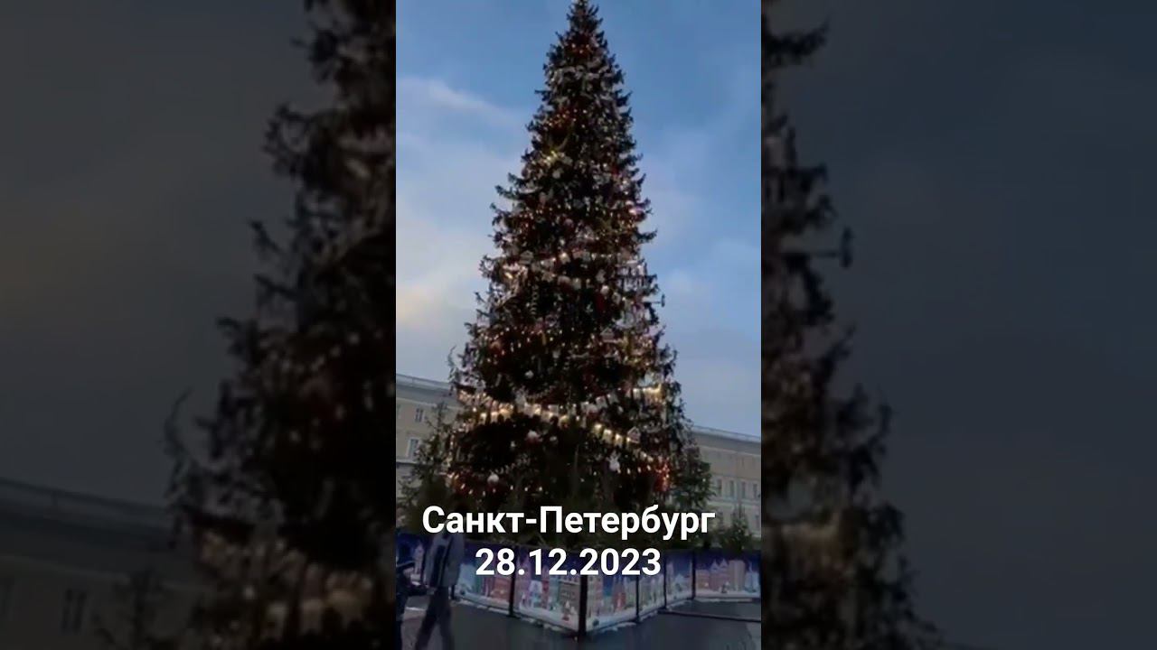 Новогодняя ель на Дворцовой площади, 28 декабря 2023 г.