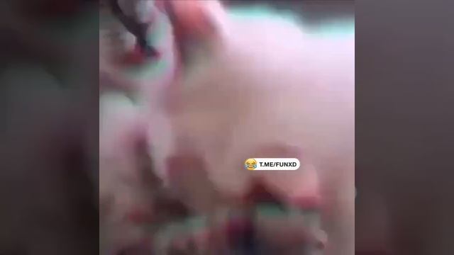 Дорогой дневник