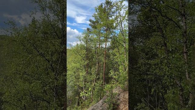 Загородный парк Североморска