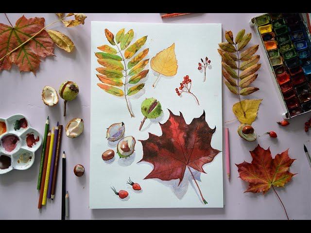 Живопись акварелью и акварельными карандашами. Видеоурок "Осенняя ботаника".