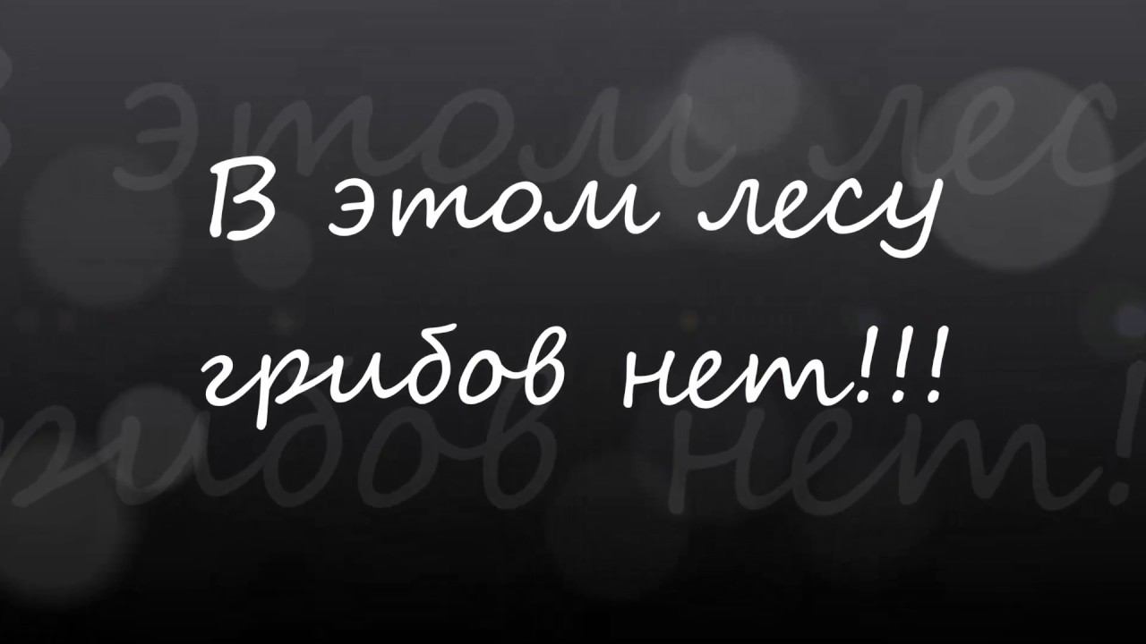 В этом лесу грибов нет!