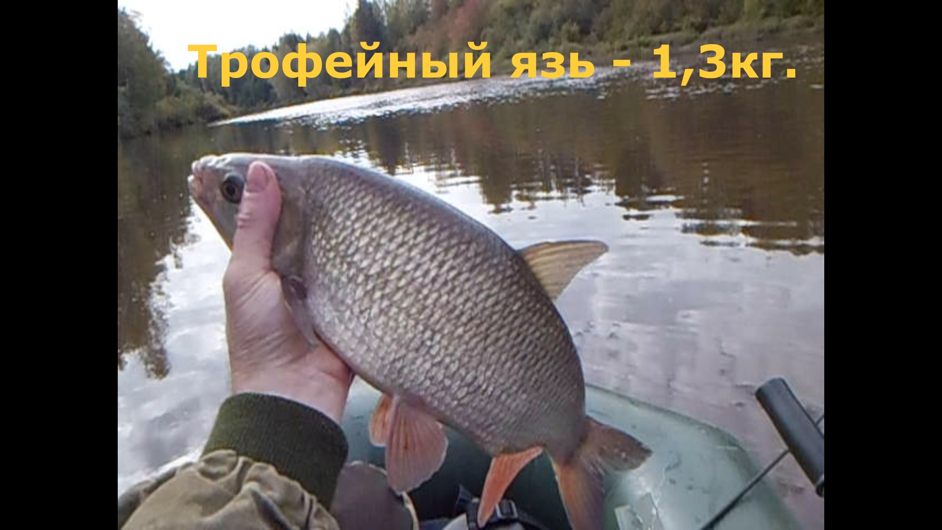Рыбалка сплавом. Трофейный язь (1,3кг).