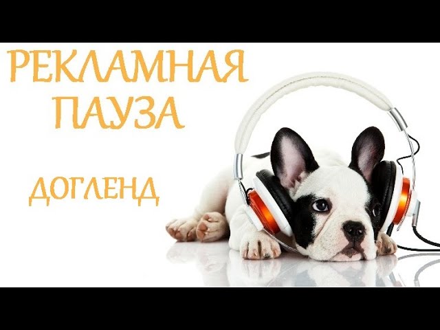 РЕКЛАМНАЯ ПАУЗА. ДОГЛЕНД.