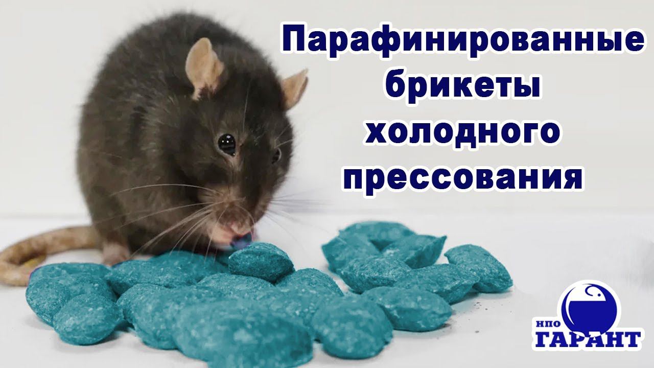 Парафиновые брикеты холодного прессования