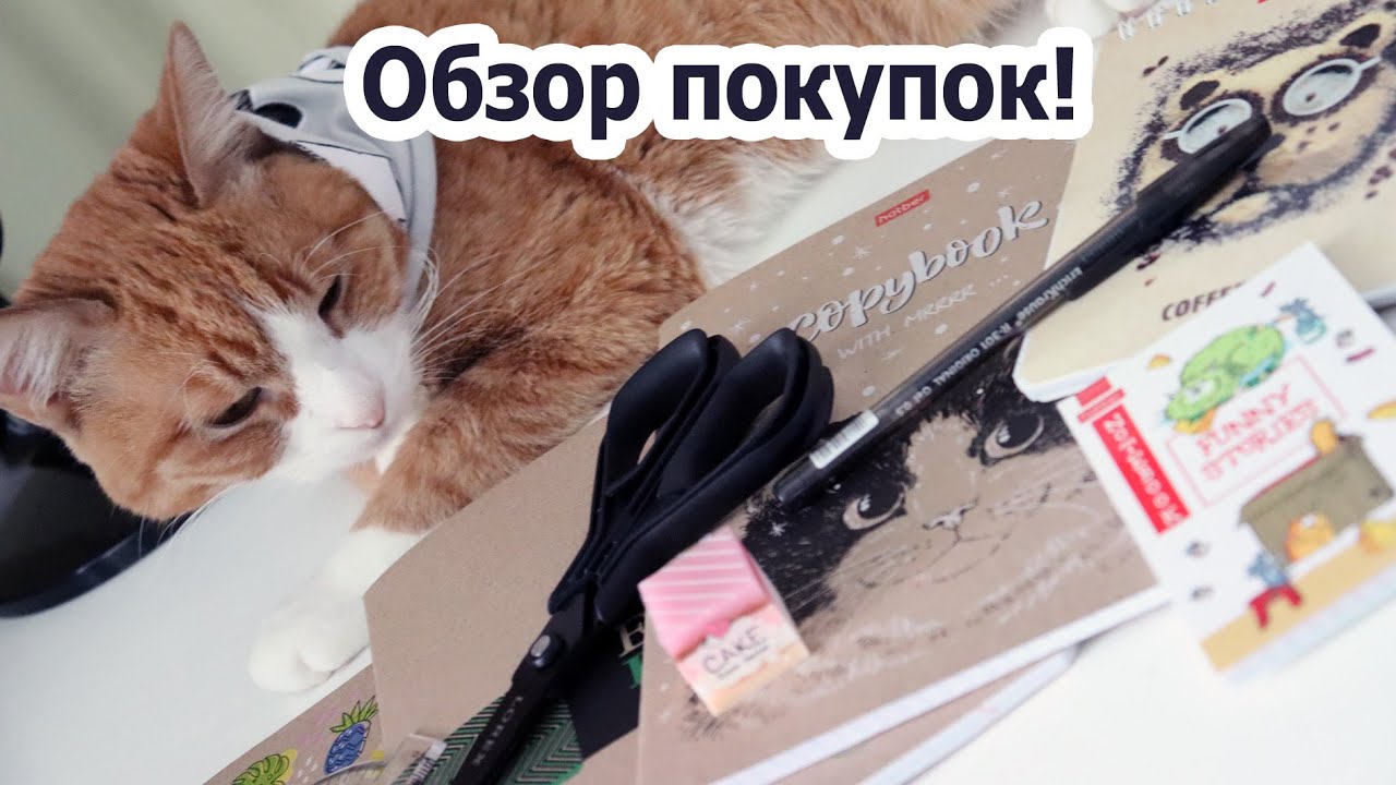 Обзор моих канцтоварных покупок! Необычные и интересные товары