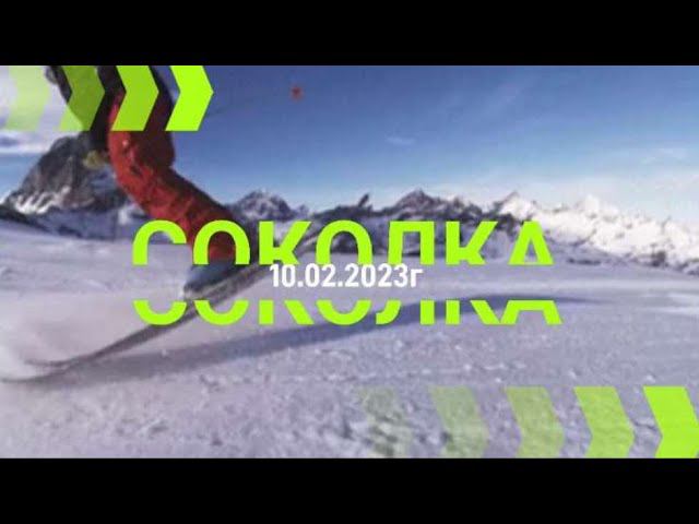 Соколка 10.02.2023г