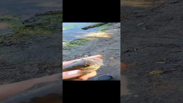 Окунь на мормышку