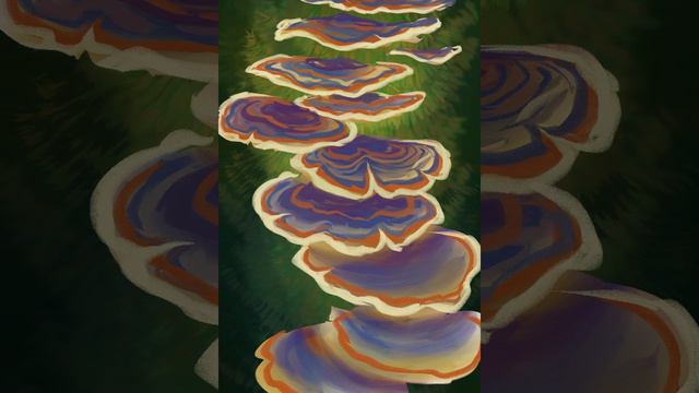 Звездные грибы «Хвост индейки» 🌟