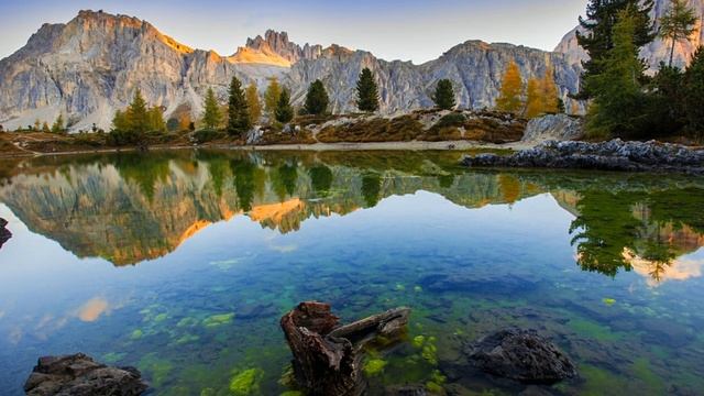 Jonathan Warman. Haf