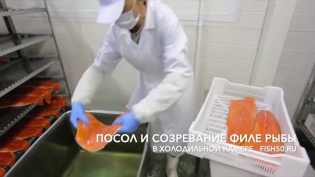 Линия переработки (разделки) красной рыбы (нерка, кижуч, лосось, форель, горбуша) на весовой кусок