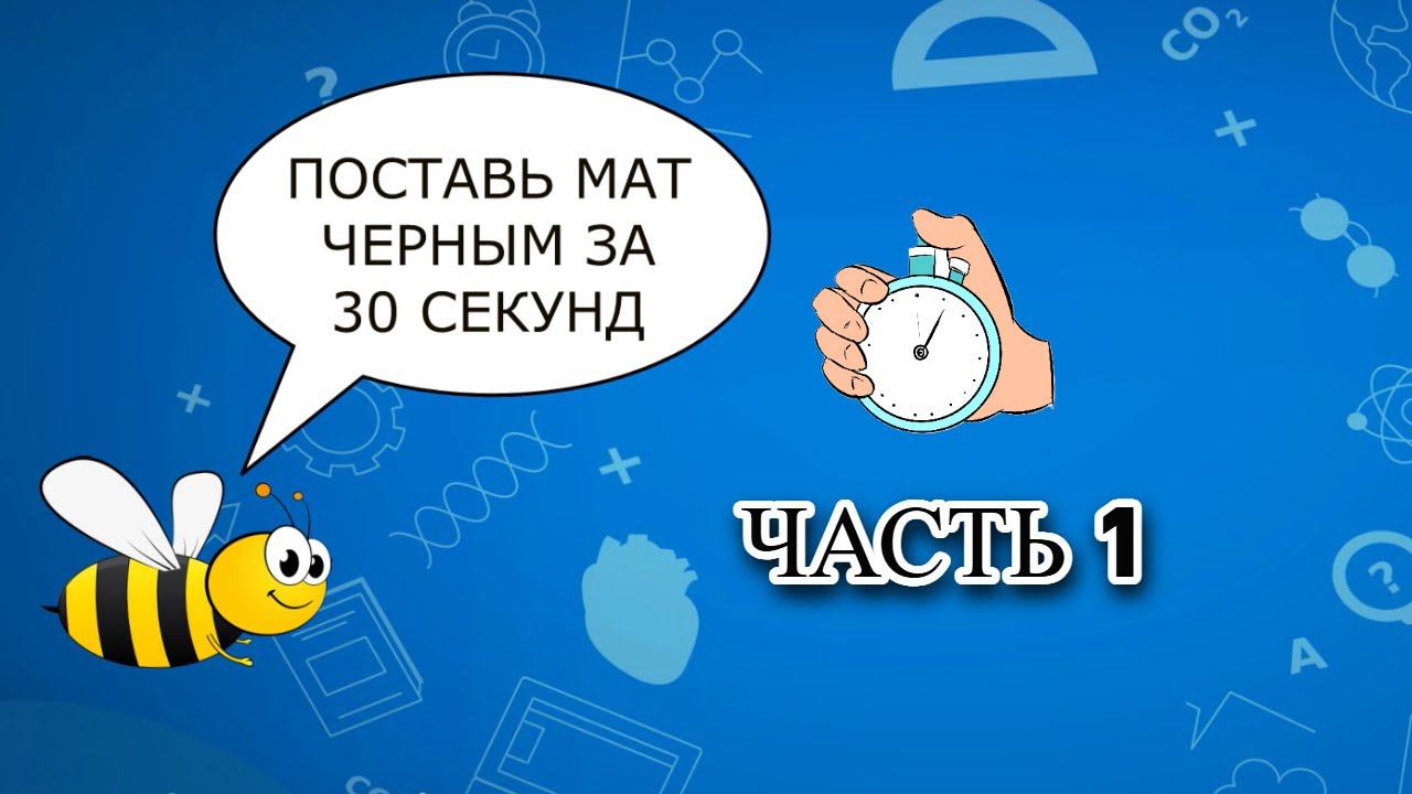 МАТ В 1 ХОД#1. ЗАДАЧКИ ОТ ПЧЕЛКИ ЖУ-ЖУ. Тренер Арно.