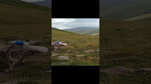 восхождение на вершину Пабаку Дагестан