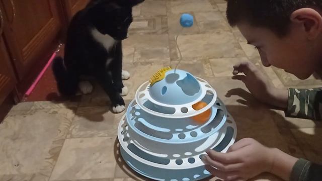 Игрушка для всех