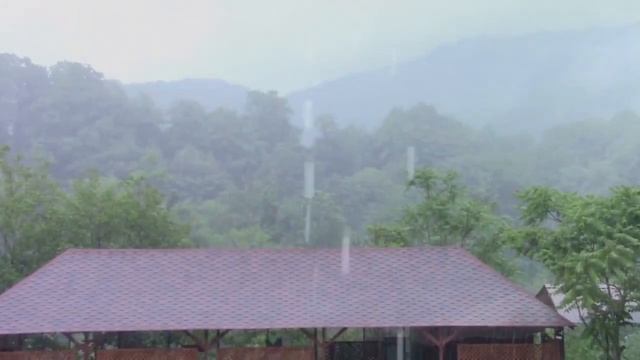 2017_06_07_ПЛАСТУНКА_СОЧИ.mp4