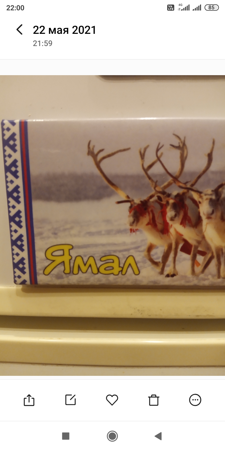 Мой Ямал, в холодильник упал