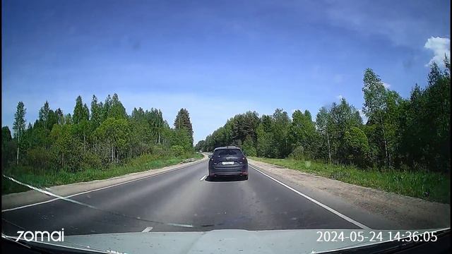 Кимры-Дубна. Свинота.