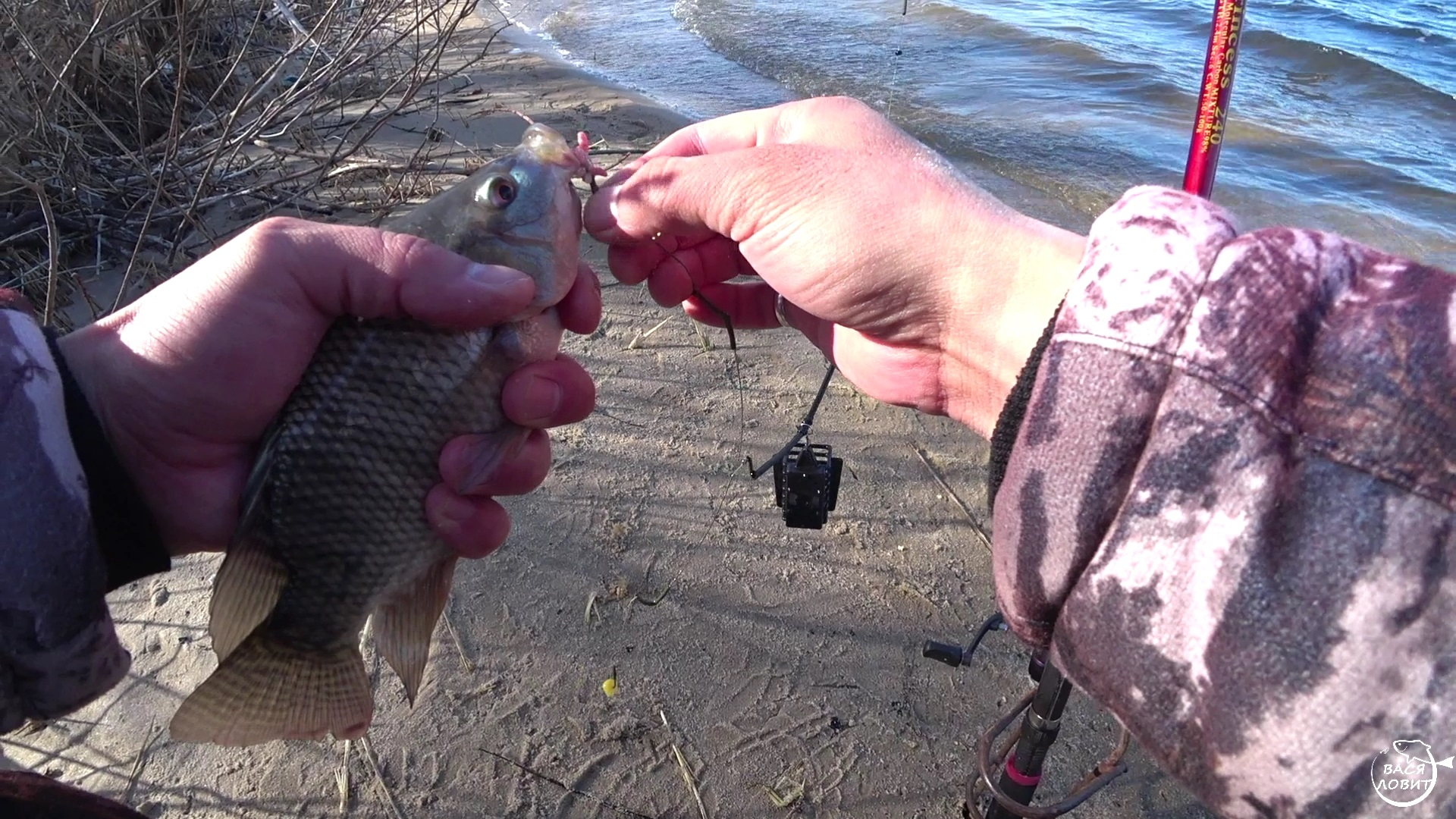 Ловля КАРАСЯ и ТИЛАПИИ на донки в марте (29.03.2021)
