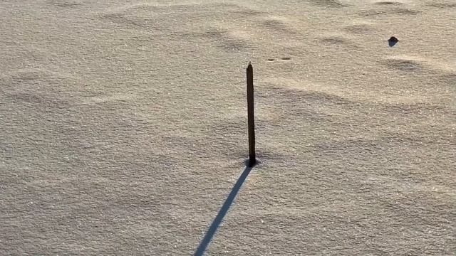 ПРУД. СВОЙ ПРУД. ИТОГИ СЕЗОНА 2020.АНАЛИЗ ВОДЫ В СВОЕМ ПРУДУ. Первый лед на своем пруду.