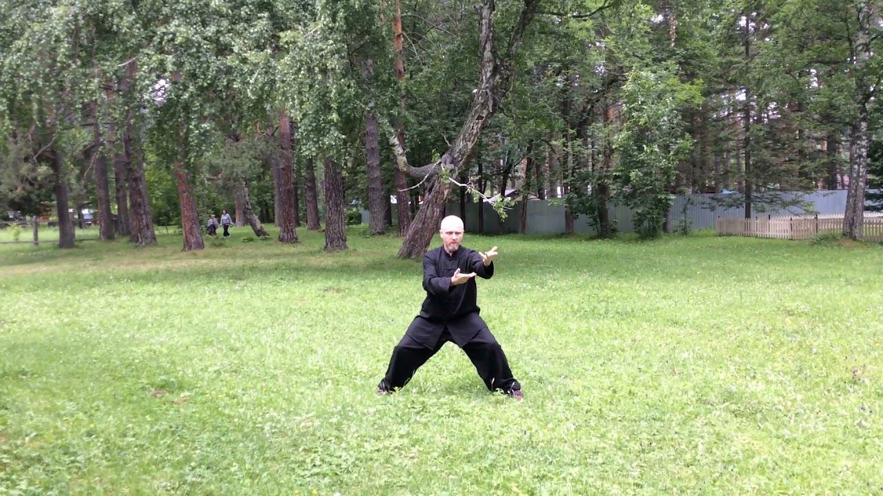 Чэньши Тайцзицюань. Позиции с 10 по 12