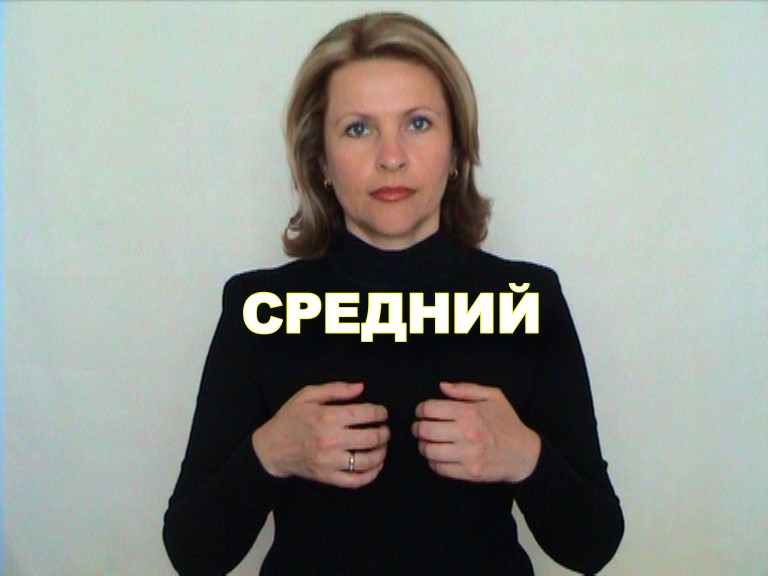 ЖЕСТОВЫЙ ЯЗЫК. СЛОВАРЬ. Средний