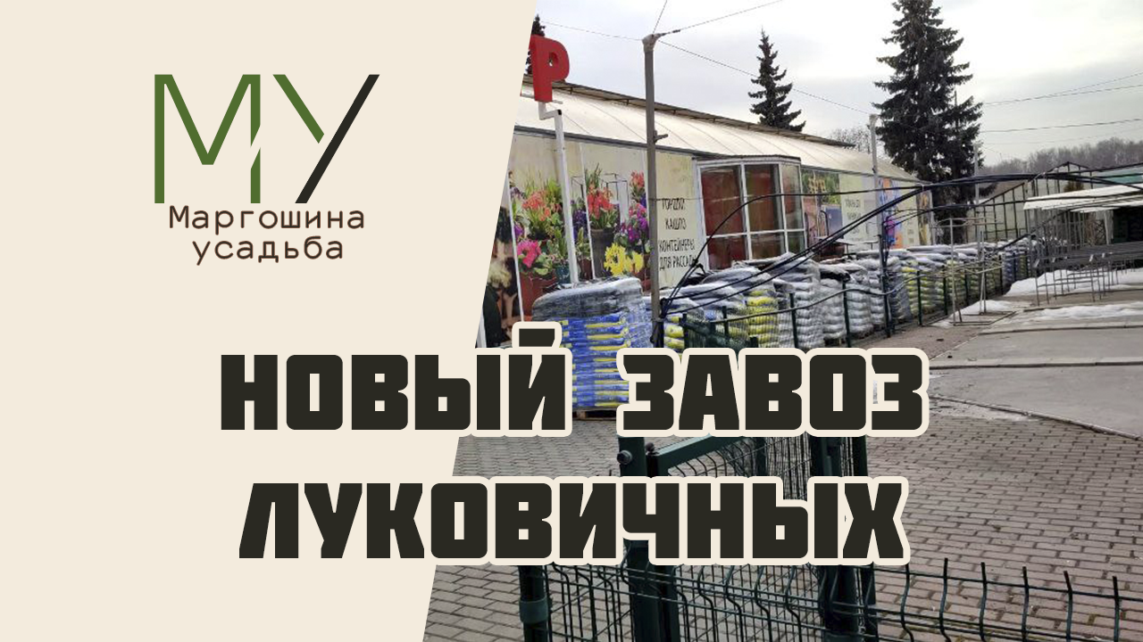 Новый завоз луковичных на 16-ой Парковой