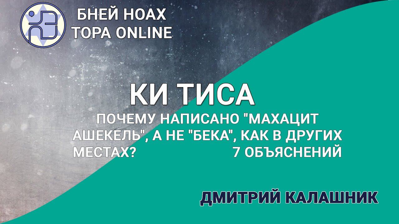 Почему написано "махацит ашекель", а не "бека", как в других местах? 7 объяснений. Глава Ки Тиса