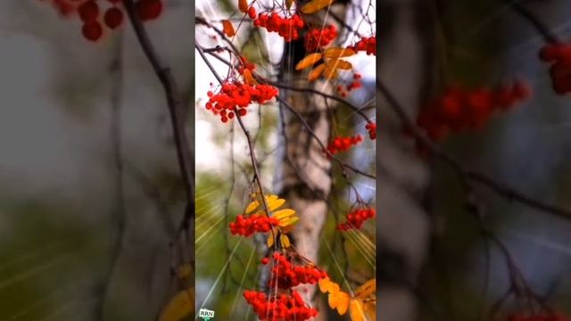 Будьте счастливы!