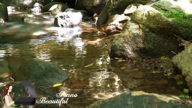 40 самых красивых фортепианных песен о любви - Лучшая коллекция романтических песен о любви