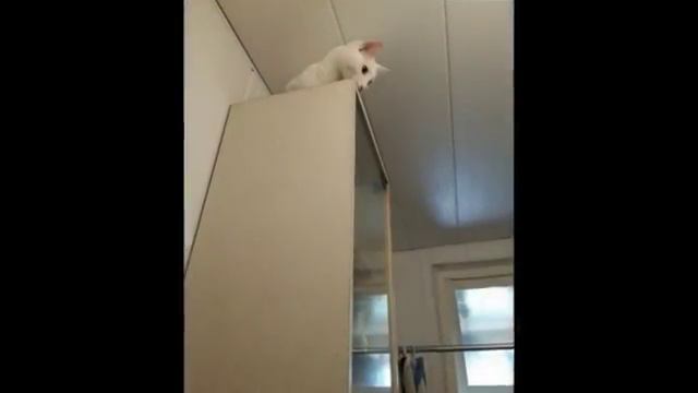 Марте Мартовне 3 года