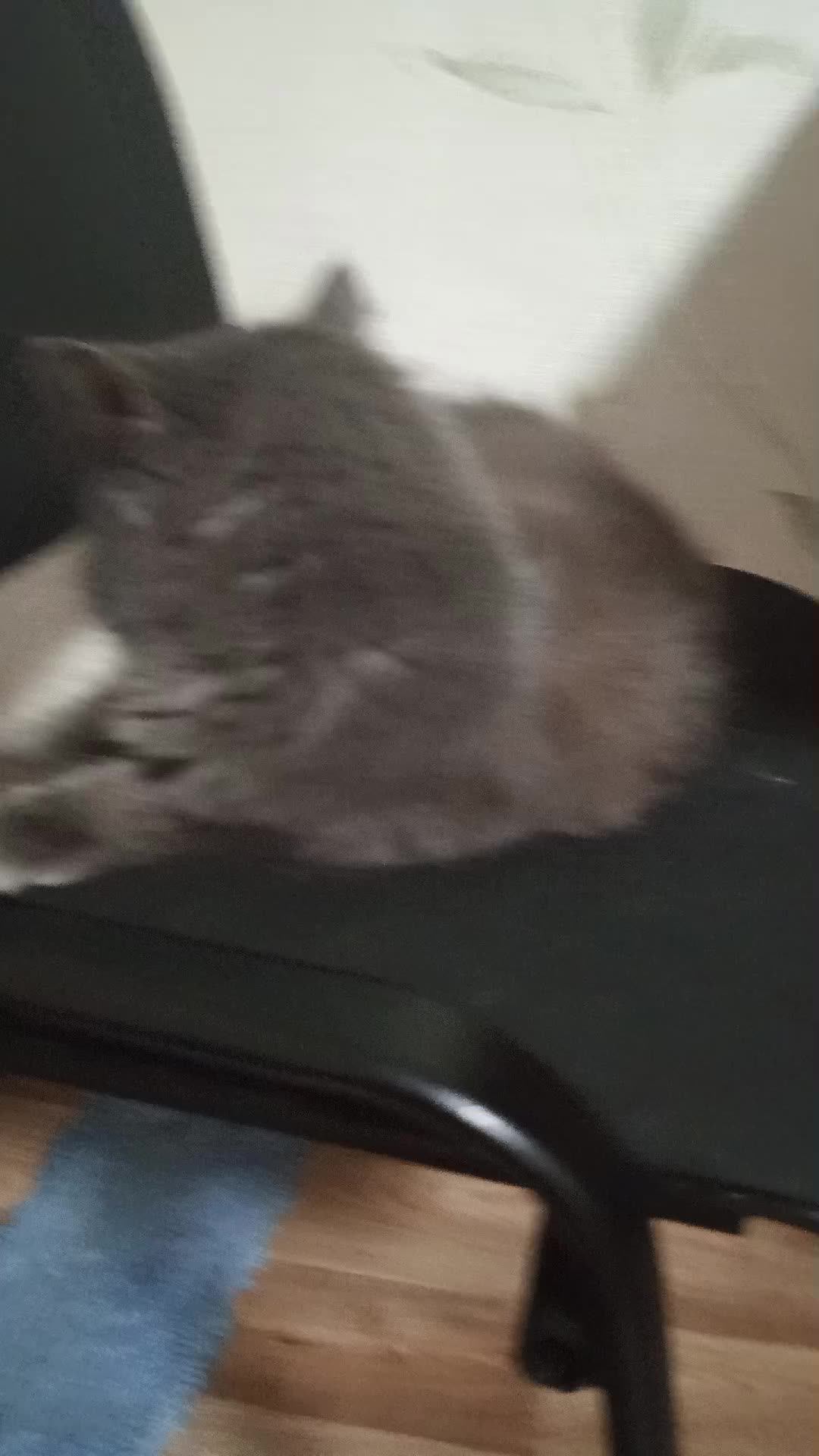 слежу за дыркой