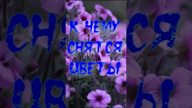 К чему снятся цветы #shorts
