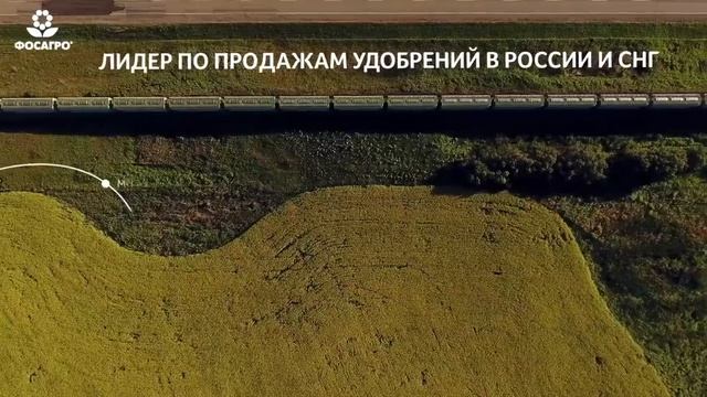 О компании  ФосАгро
