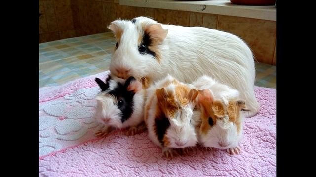 Разговор с отцом.  Стихотворение фантастика, юмор..mp4