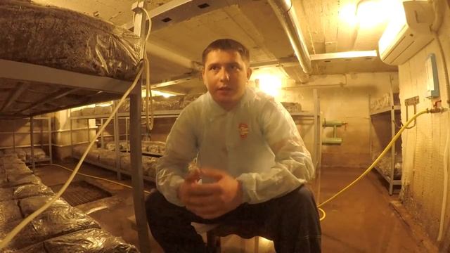 Выращивание Шампиньонов В Домашних Условиях. Компост