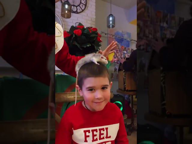 Фокусник Буратино