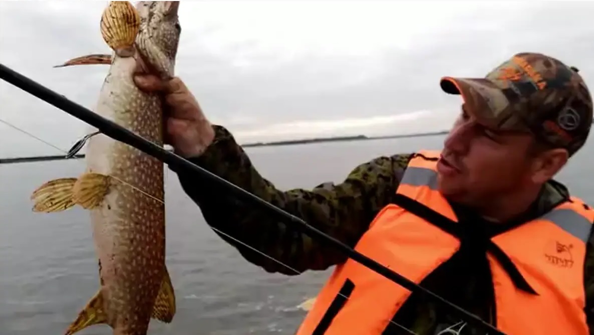 Просто_рыбалка