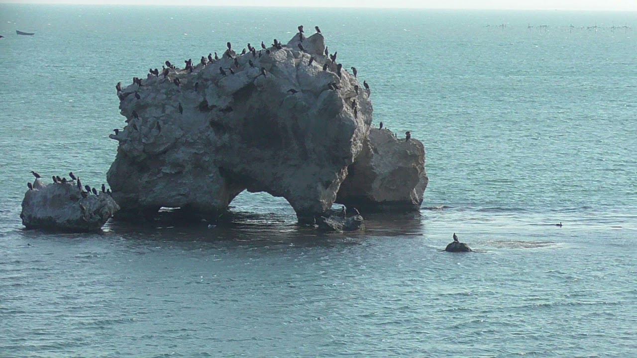 Осенняя прогулка. 2021