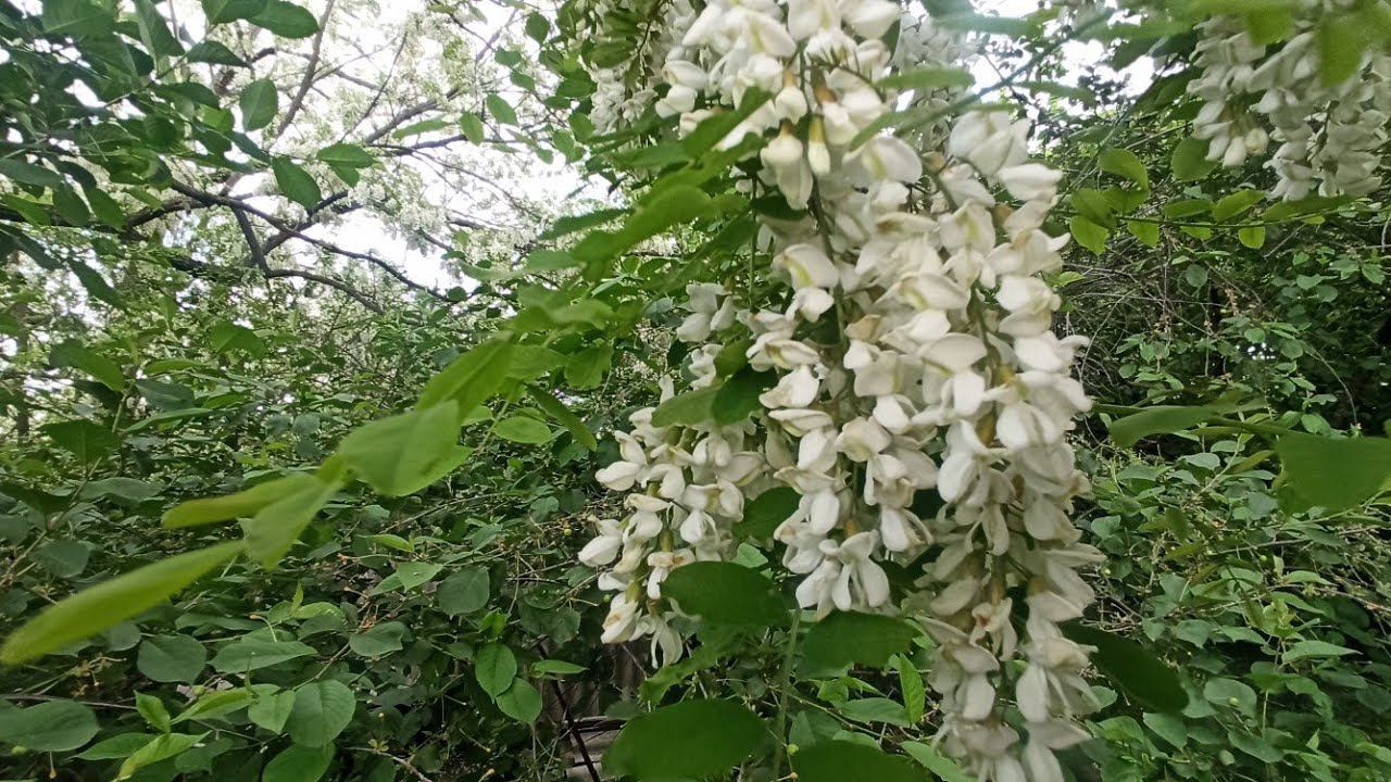 Продается домик п.Бейсуг