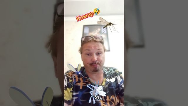 Правильные комары ?