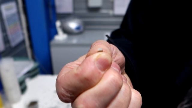 AMYCEL ФРАНЦИЯ. Производство Мицелия.