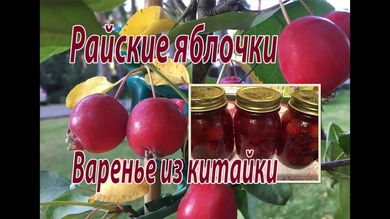 Райские яблочки. Варенье из китайки.