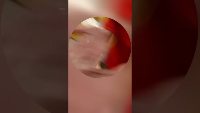 ОДНАЖДЫ В ПАРИКМАХЕРСКОЙ / DANONEFLEXIN