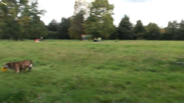 Чемпионат России. Ольга и Барс..mp4