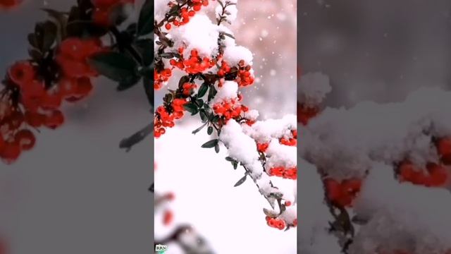 А снег идет