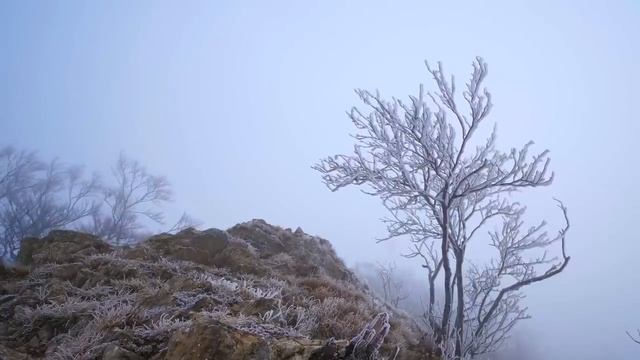 Inon Zur (Icewind Dale II) — Skeleton of a Town.mp4