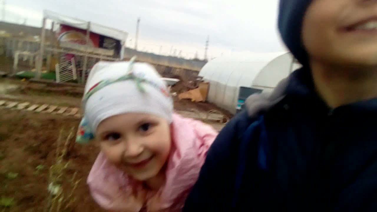 Лебеда беда Чип и Дейл спешат на помощь