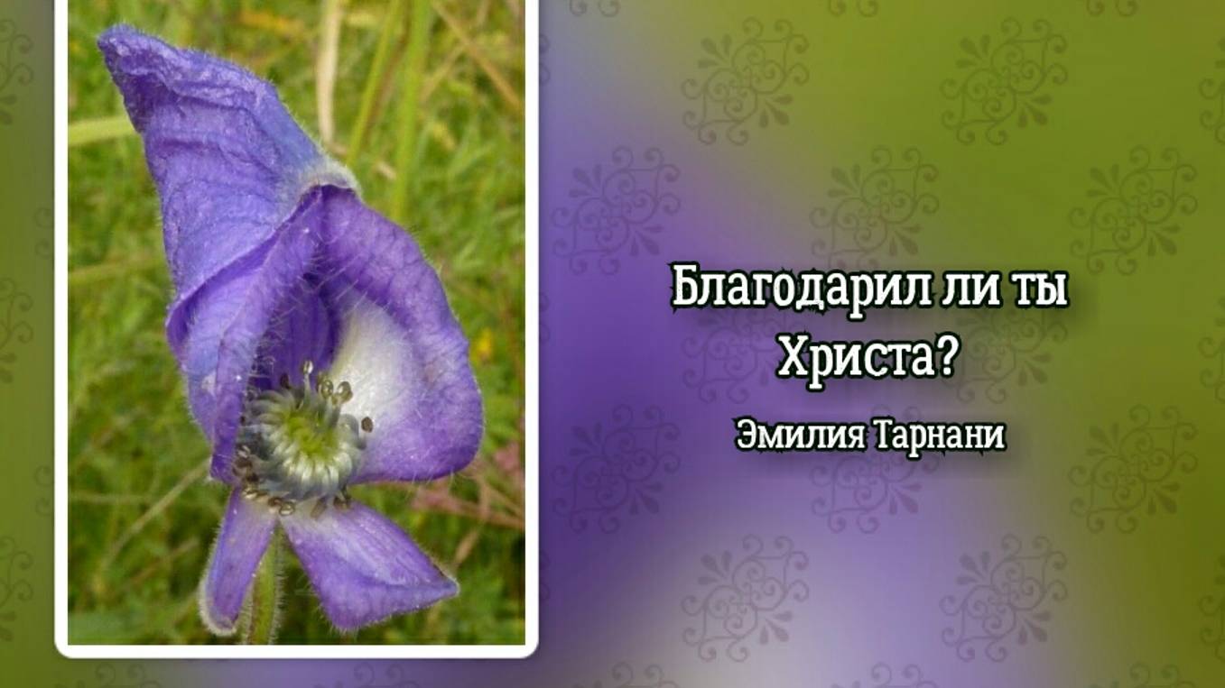 Благодарил ли ты Христа? (+)